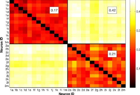 Pairwise Distance Matrix For The Bivariate Isi Distance D I Applied To