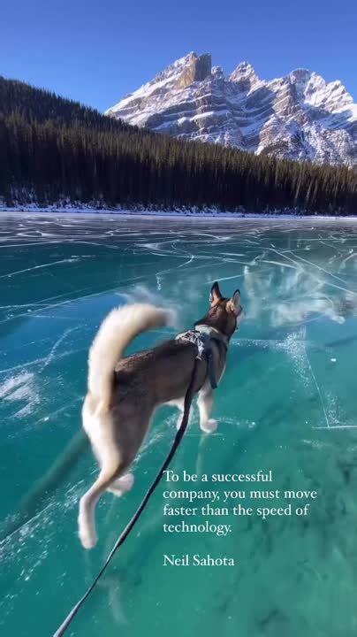 Lloyds Marketing On Linkedin Leadership Innovation Technology