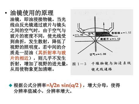 实验一油镜的使用和细菌三型的观察