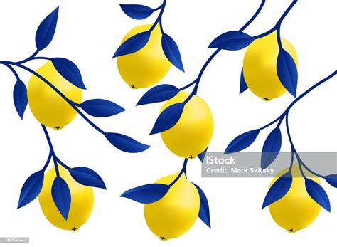파란색 잎 벡터 일러스트와 지점에 레몬 과일 3d 패턴 그림 분리 된 감귤류 과일 디자인 0명에 대한 스톡 벡터 아트 및 기타 이미지 Istock