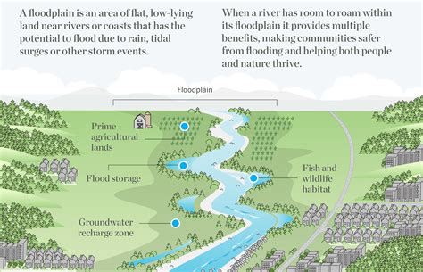 Two Minute Takeaway What Is A Floodplain The Nature Conservancy In Washington