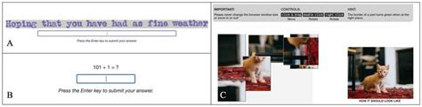 visualization of the tasks a text typing b mental arithmetic c