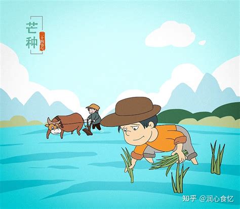 明日芒种，记得吃“3肉5瓜”，饮食顺应节气，安稳度过炎热夏季 知乎