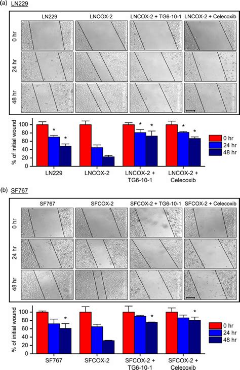 Pge 2 Signalling Via The Ep 2 Receptor Mediates Cox 2 Activity Driven
