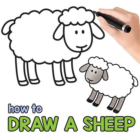 How To Draw A Sheep Step By Step Easy
