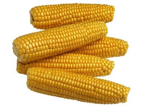 Fresh Corn How To Pick Grill And Boil Corn FN Dish Behind The