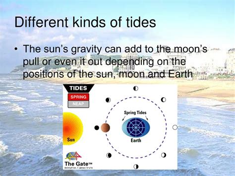 PPT Phases Eclipses And Tides PowerPoint Presentation Free Download ID 6846377