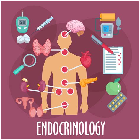 Endocrinology And Endocrine System Flat Icon 11664024 Vector Art At