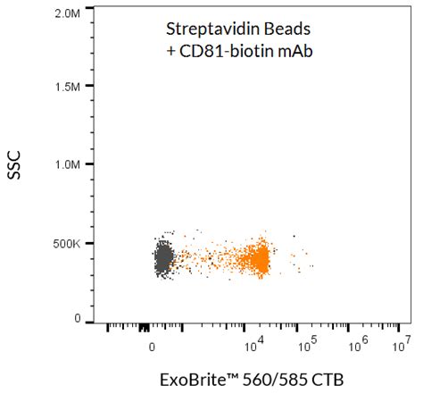 Exobrite™ Streptavidin Magnetic Beads Biotium