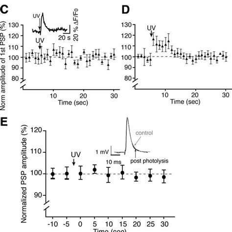 Role Of Adenosine Receptors In Post Tetanic Plasticity Induced By Motor