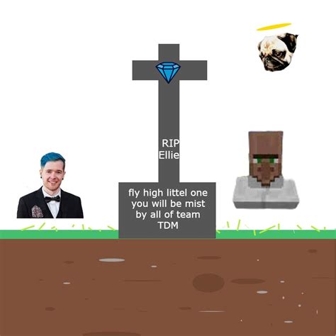 Rip Ellie Rdantdm