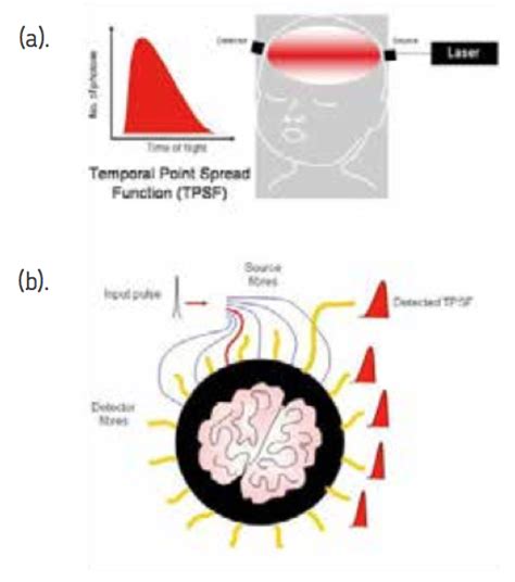 Fast Optical Tomography On Neonates Foton Study Neolab