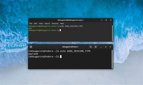How To Check Xorg Or Wayland Display Server