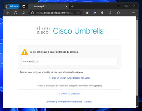 Bloquer Tous Les Sites Pour Adultes Avec OpenDNS EasyTutoriel