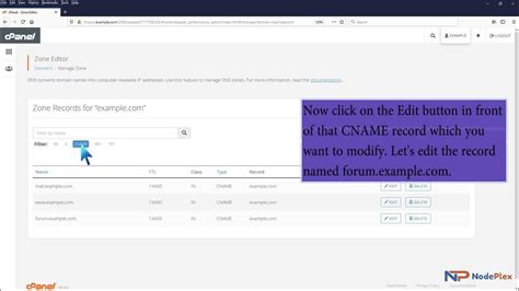 How To Edit Or Delete A Cname Record In Cpanel Using The Dns Zone Editor With Nodeplex Youtube