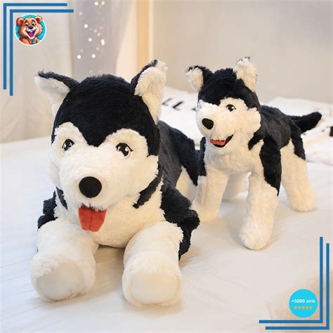 Peluche chien Husky mignon en livraison gratuite Économisez 30 sur