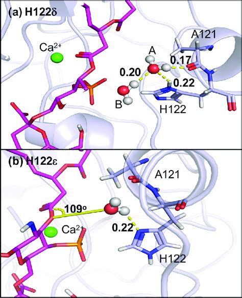 A Water Locations From The Gcmc Simulation Where H122 Is Nd Download Scientific Diagram