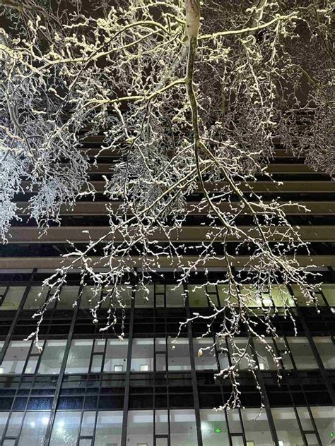 官宣了：昨夜河南这场雪是好雪、喜雪！ 大河网