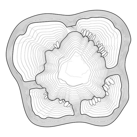 Architecture Inside A Pepper 19S Sophomore On Behance