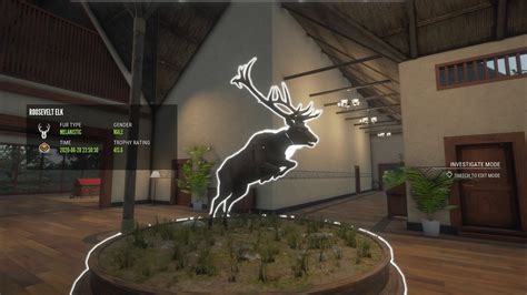 Diamond Melanistic Roosevelt Elk I Didnt Screenshot The Harvest