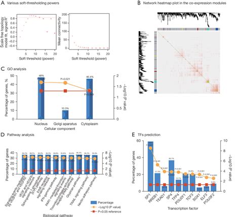 Wgcna And Functional Enrichment Analysis Of Mirnas A Analysis Of The