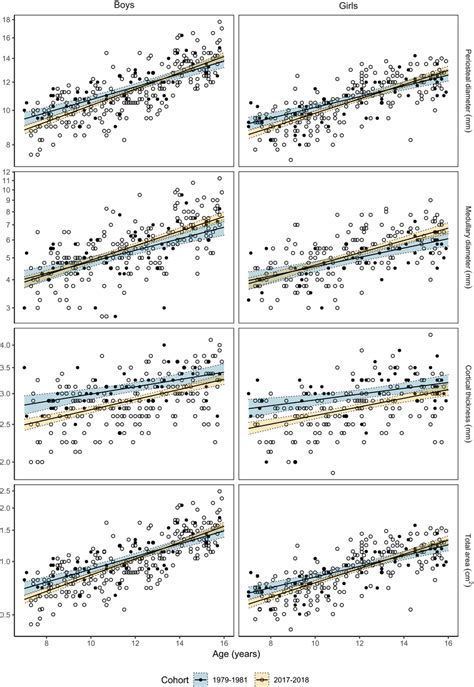 Forearm Bone Structure Mean Value Of Right And Left Forearms Measured Download Scientific