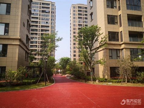 慈溪白沙路街道盛泰嘉苑小区次顶楼新房出售 东论 东方热线·东方论坛 宁波论坛——家长里短写你我身边事