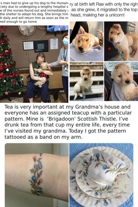 Here Are 45 Wholesome Things That Made Our Day When The World Felt Like