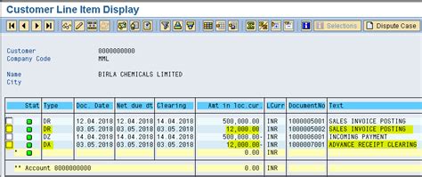 Sap Fico Module Learning Clearing Of Normal Items