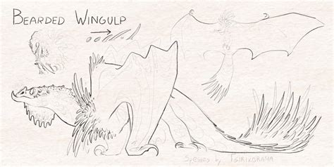 A Couple Of Httyd Styled Fan Species Sketches Rhttyd