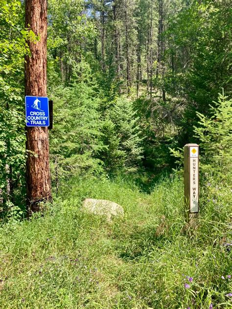 Five Minutes With Meaghan Hackinen Dotwatcher Cc