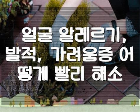 얼굴 알레르기 발적 가려움증 어떻게 빨리 해소