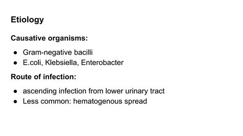 Pyelonephritis Tuberculous Pyelonephritis Pathology Pptx