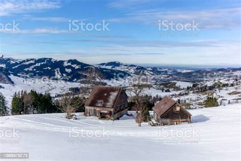 고립 된 여름 샬레와 농장 마구간은 아펜젤의 브루엘리소 근처의 신선한 분말 눈으로 덮인 스위스 알프스의 높은 높이 0명에 대한 스톡 사진 및 기타 이미지 Istock