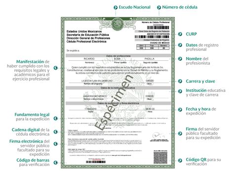Trámite Para Cédula Profesional Será En Línea A Partir De Este Lunes