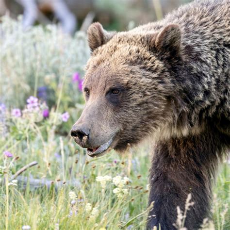 The Atlantic Newly Released Jeffrey Epstein Emails Have Prompted