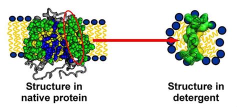 Detergent Structure