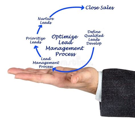 Optimize Lead Management Process Stock Image Image Of Process Male 110920225