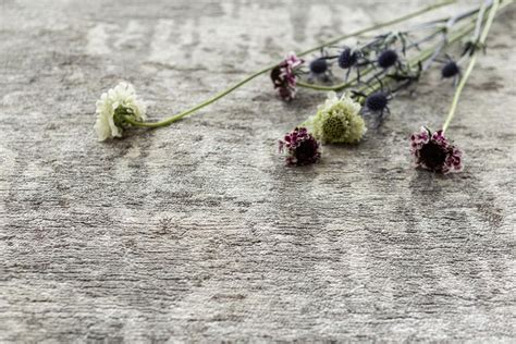 Enenra Yokai Collection By Mehraban For Sale At 1stdibs