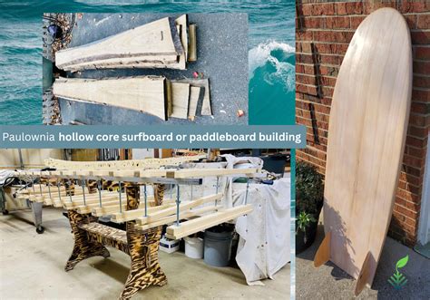 Learning How To Build A Hollow Wood Surfboard Bioeconomy Solutions