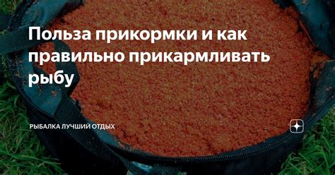 Польза прикормки и как правильно прикармливать рыбу Рыбалка Лучший отдых Дзен