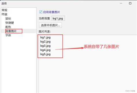 Finalshell Ssh工具安装教程及编辑窗口修改背景颜色，自定义背景图片，修改字体，修改快捷键（详细图文教程）finalshell配色 Csdn博客