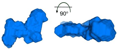 Ab Initio Model Of Recn1dd Resulting From Envelope Reconstruction Using
