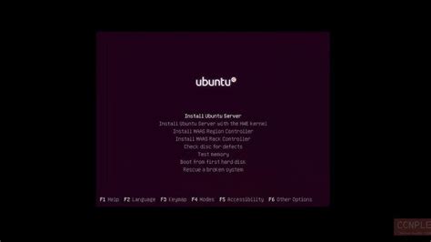 Install Opendaylight On Ubuntu 18 04 Shelly Lighting