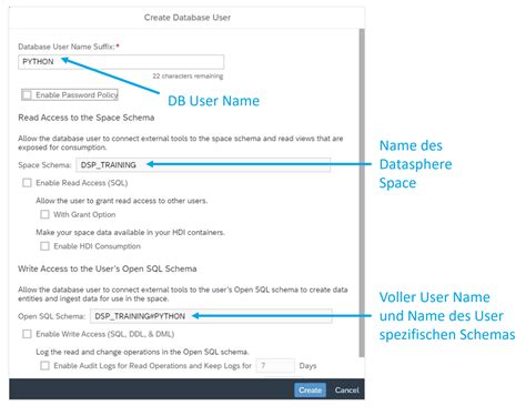 How To Datentransfer Zwischen Sap Datasphere Und Python Via Hdbcli