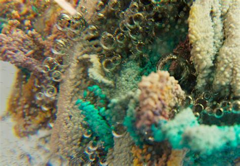 Lee Griggs Nested Dielectric Bubbles