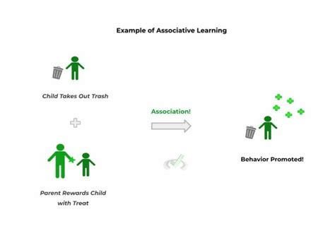 Learning And Memory On The Mcat Medlife Mastery