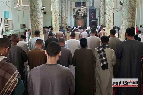 ألبومات عدسة المصري اليوم