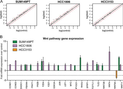 Effect Of Htert Overexpression On Wnt Pathway Gene Expression In Breast