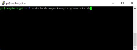 Raspberry Pi